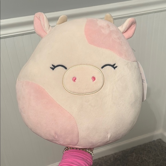 Squishmallows | Toys | Squishmallows Caedyn | Poshmark